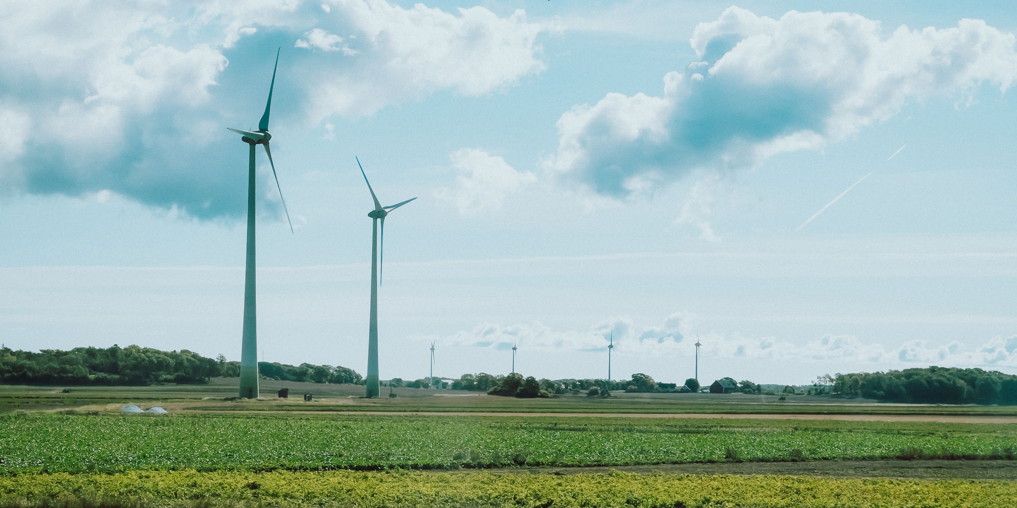 Eco – Scandinavian Express